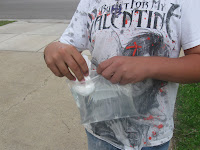 Science Experiments: Exploding Lunch Bag